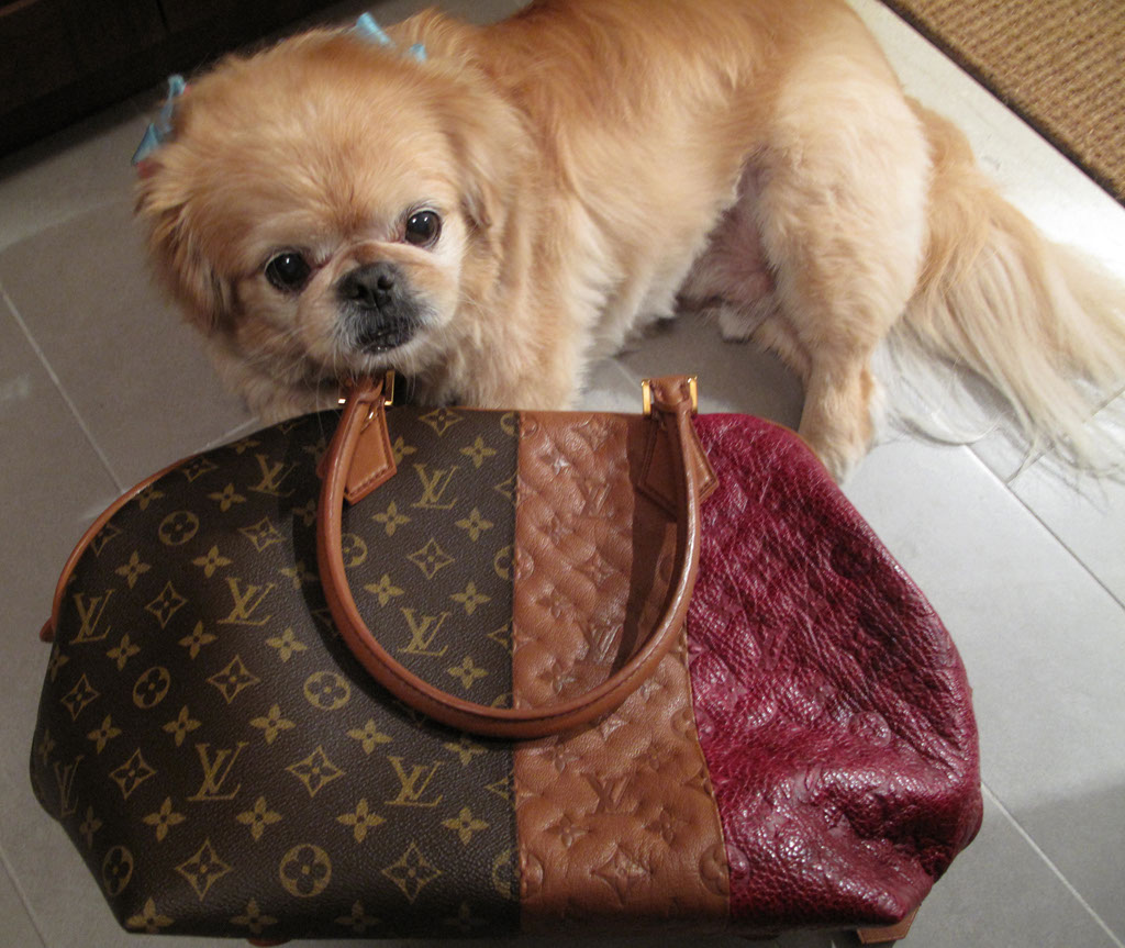 Louis Vuitton Goes to the (Adorable) Dogs | Wendy Brandes Jewelry Blog