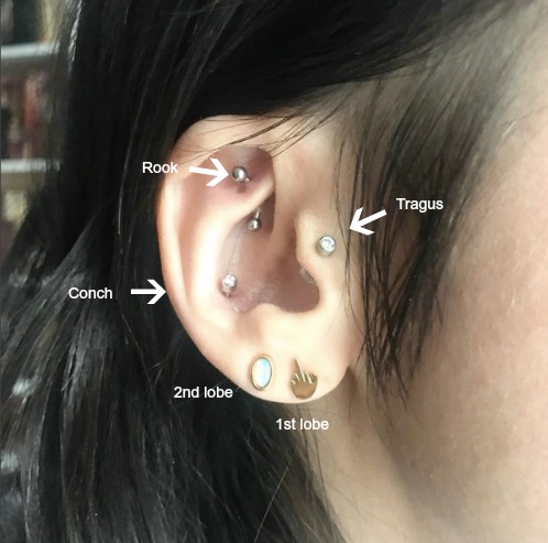 Ear Piercing Inspiration | Wendy Brandes Jewelry Blog